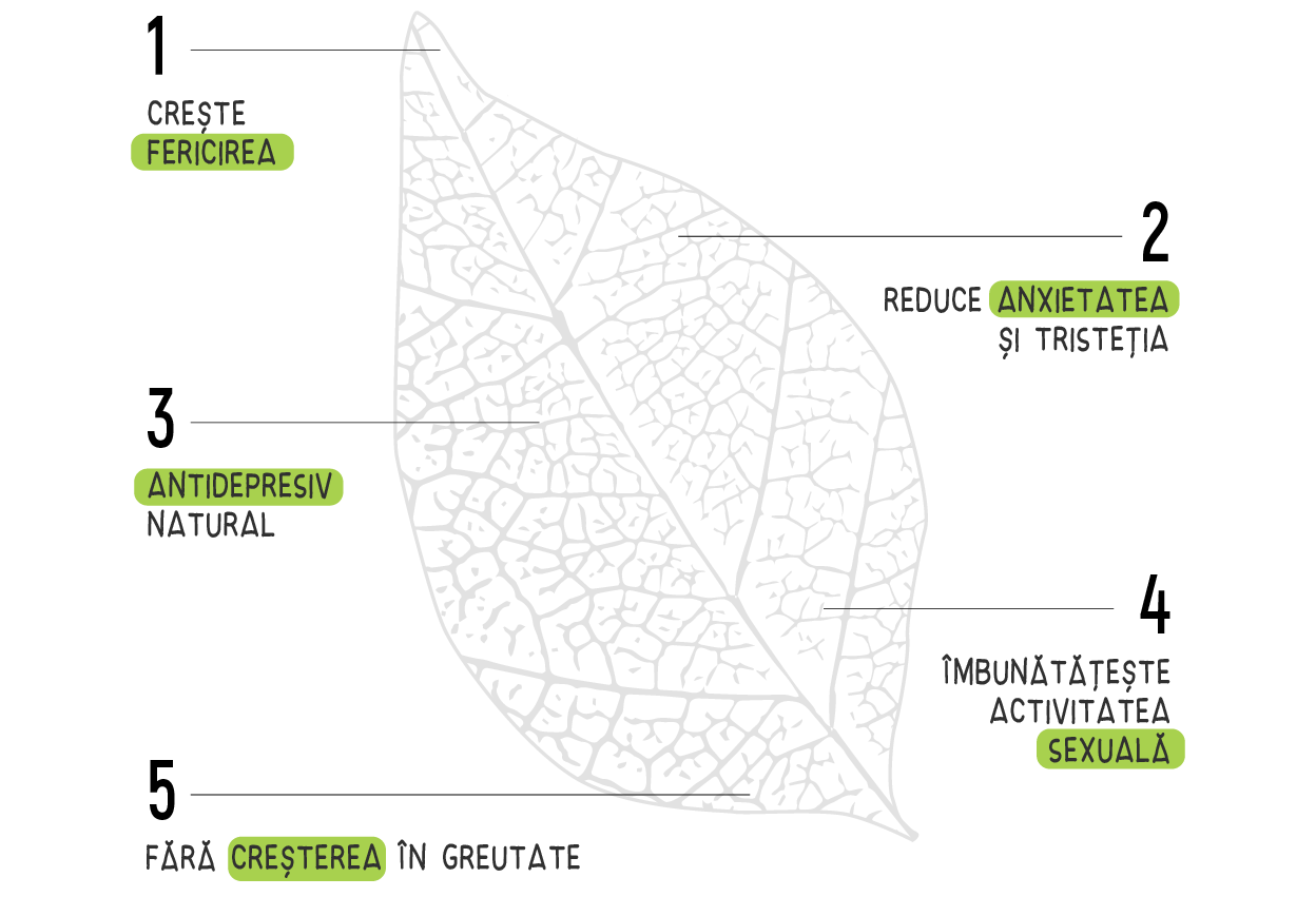 Pagina principală - Stressnol Moldova